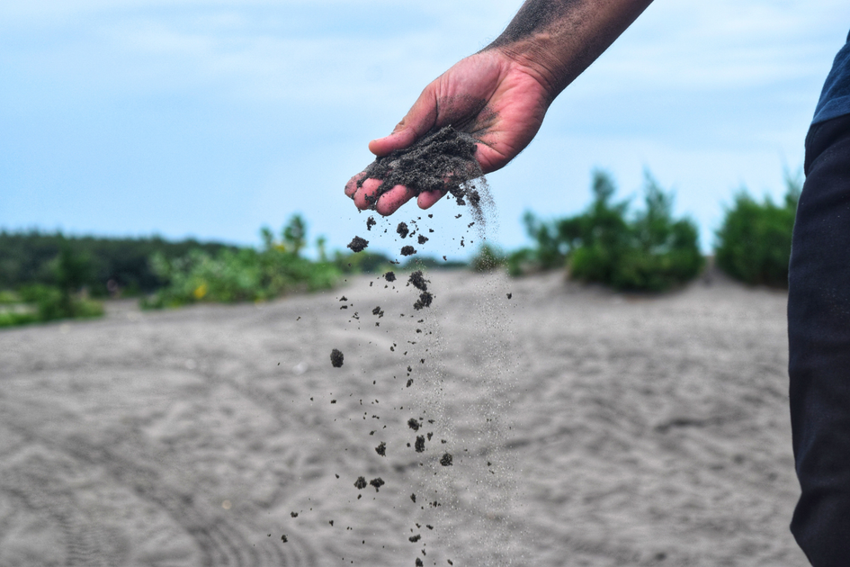 Steps for Scattering Ashes Responsibly | Let Your Love Grow